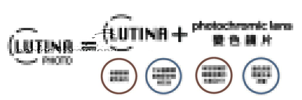 LUTINA PHOTO - TOKAI