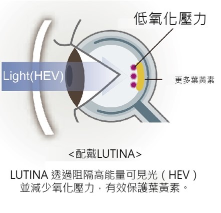 LUTINA - TOKAI